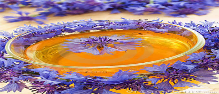 Cornflower Cream Rose Tea