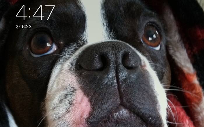 Crazy Kids Today..Mo' Tea STAT Tea