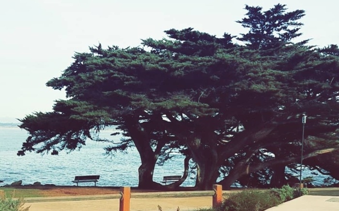 A Taste Of Adventure Tea