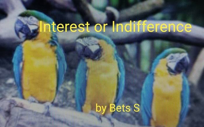 Interest or Indifference Tea