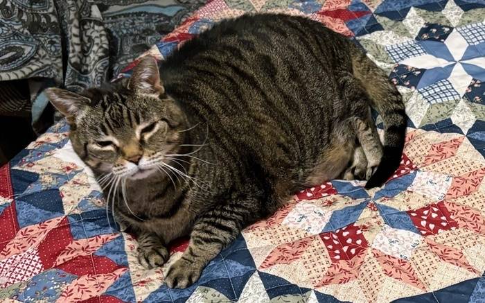 Grouchy Kings Spice Tea