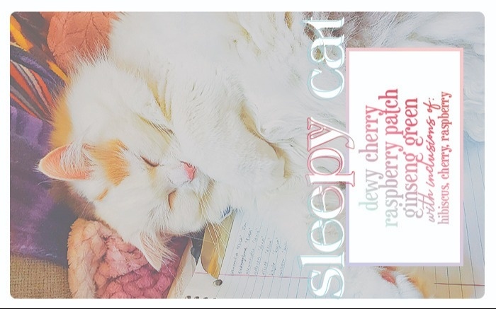 Sleepy Cat Tea