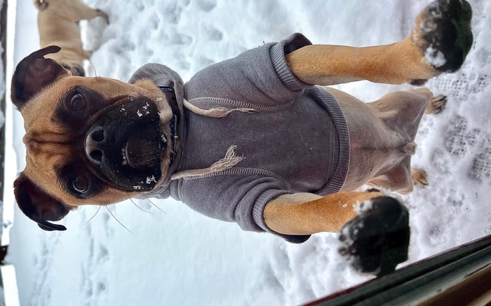 Mandy Hikes Summit Lake Tea