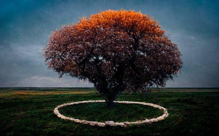 Zebediah, The Hunter Tea