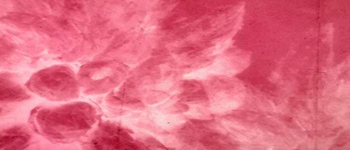 Sunny Passion Deconstructed Tea