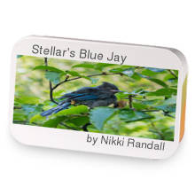 Stellar's Blue Jay Tea