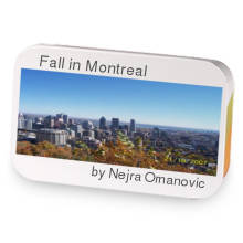 Fall in Montreal Tea