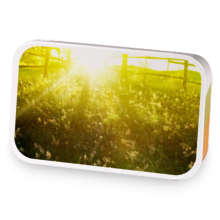 Lanirehn, Herald Trainee Tea